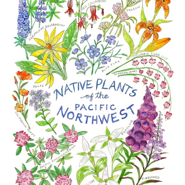 Pacific Northwest Native Art - Etsy