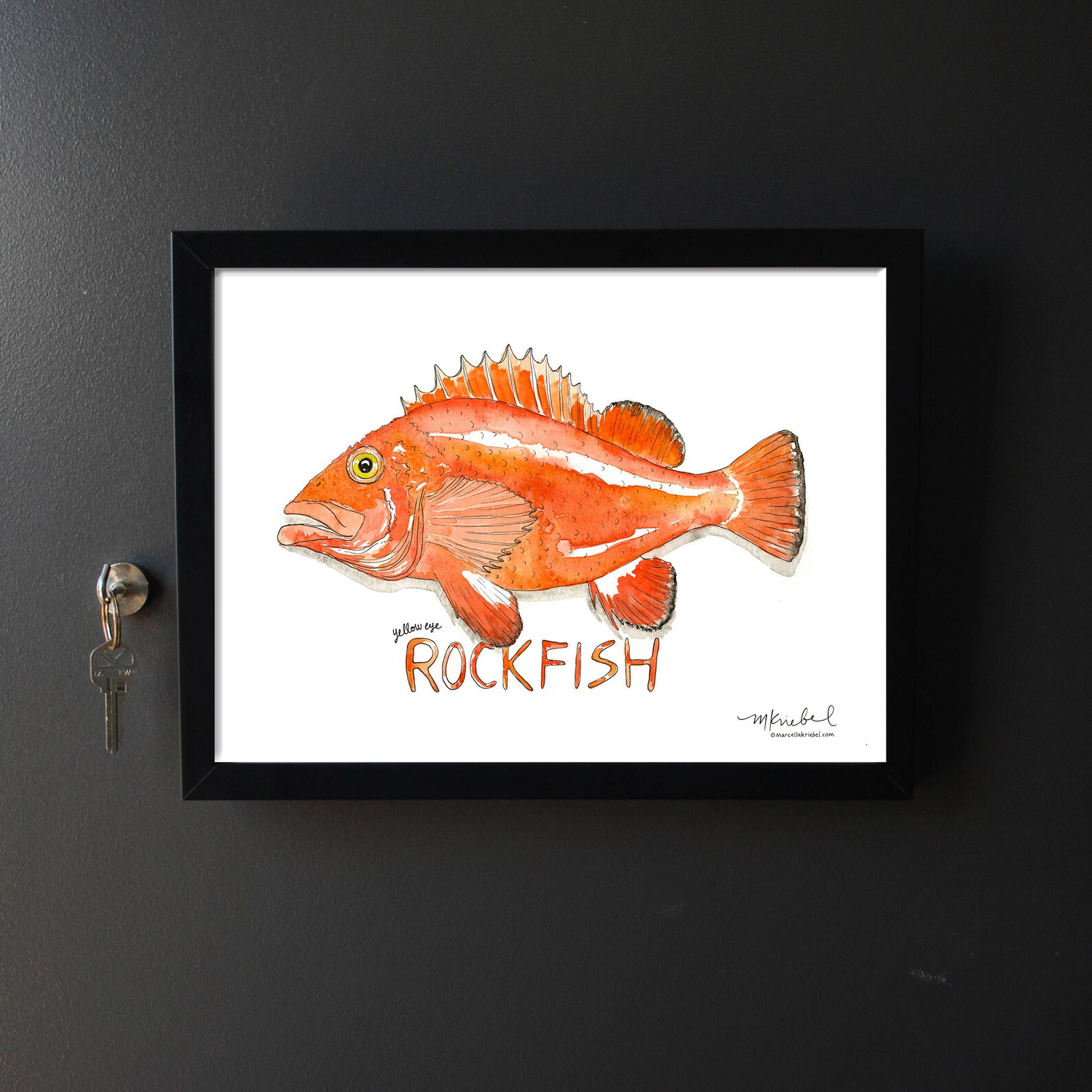 Yellow Eye Rockfish Fish Illustrated Watercolor Art Print - Etsy