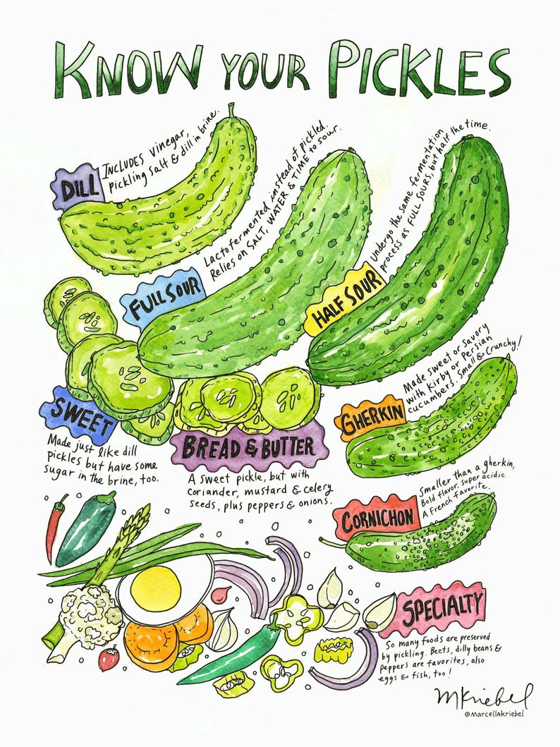 Know Your Pickles Watercolor Print: Dill, Gherkin, Sour - Etsy