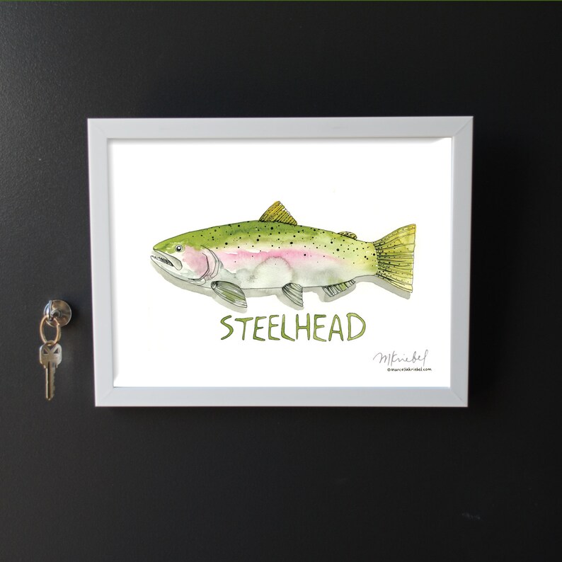Steelhead Freshwater Fish Illustrated Watercolor Art Print - Etsy