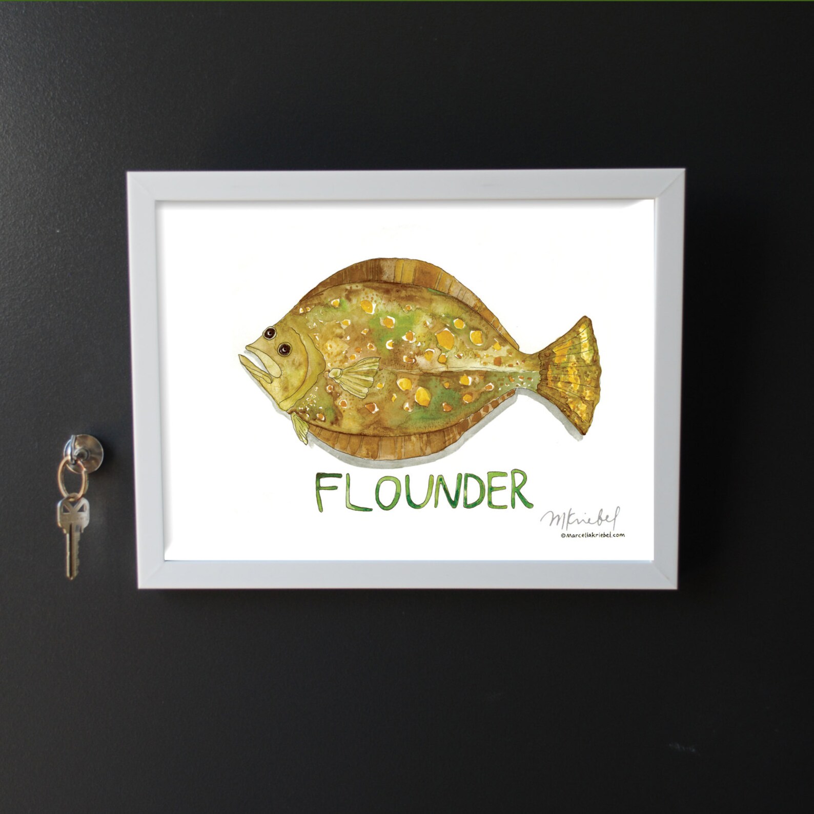 Flounder Fish Illustrated Watercolor Art Print - Etsy