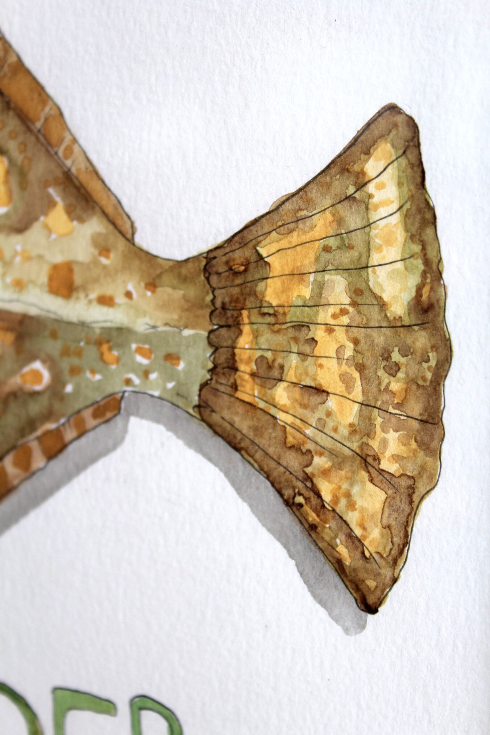 Flounder Fish Illustrated Watercolor Art Print - Etsy