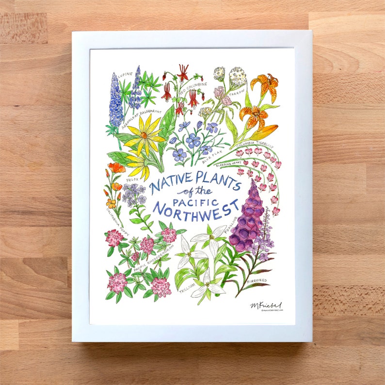 Native Plants of the PNW Pacific Northwest Watercolor Art - Etsy