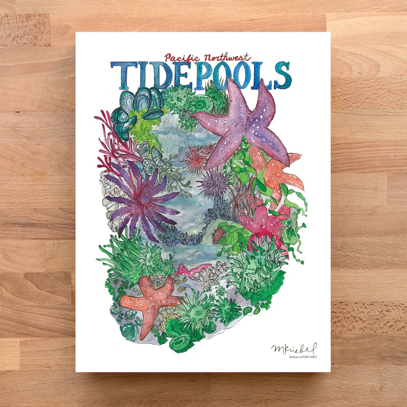 Tidepools - Etsy