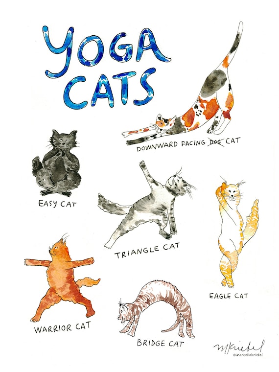 Cats Doing Yoga