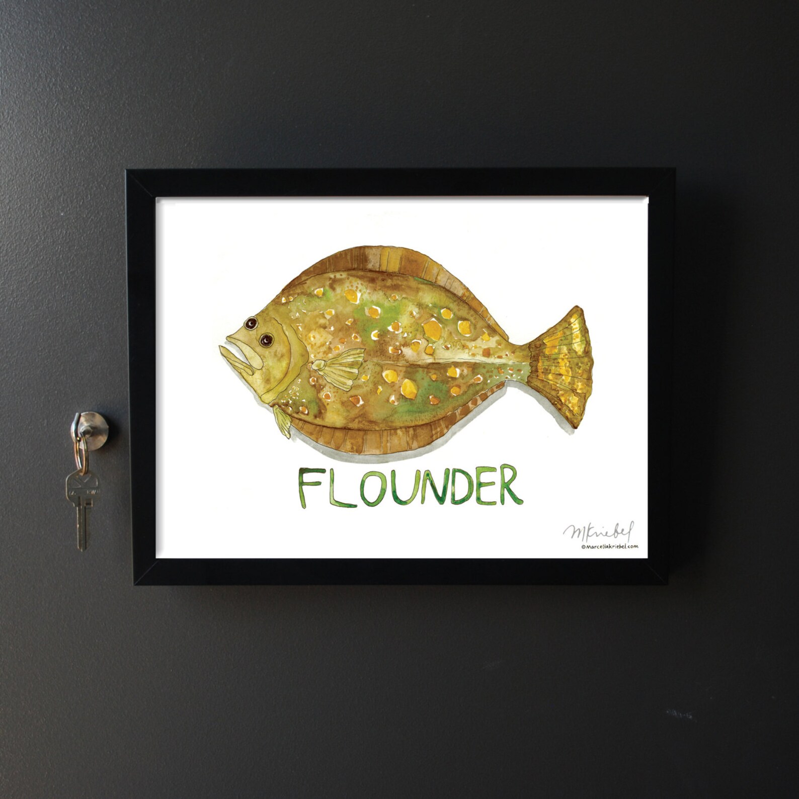 Flounder Fish Illustrated Watercolor Art Print - Etsy