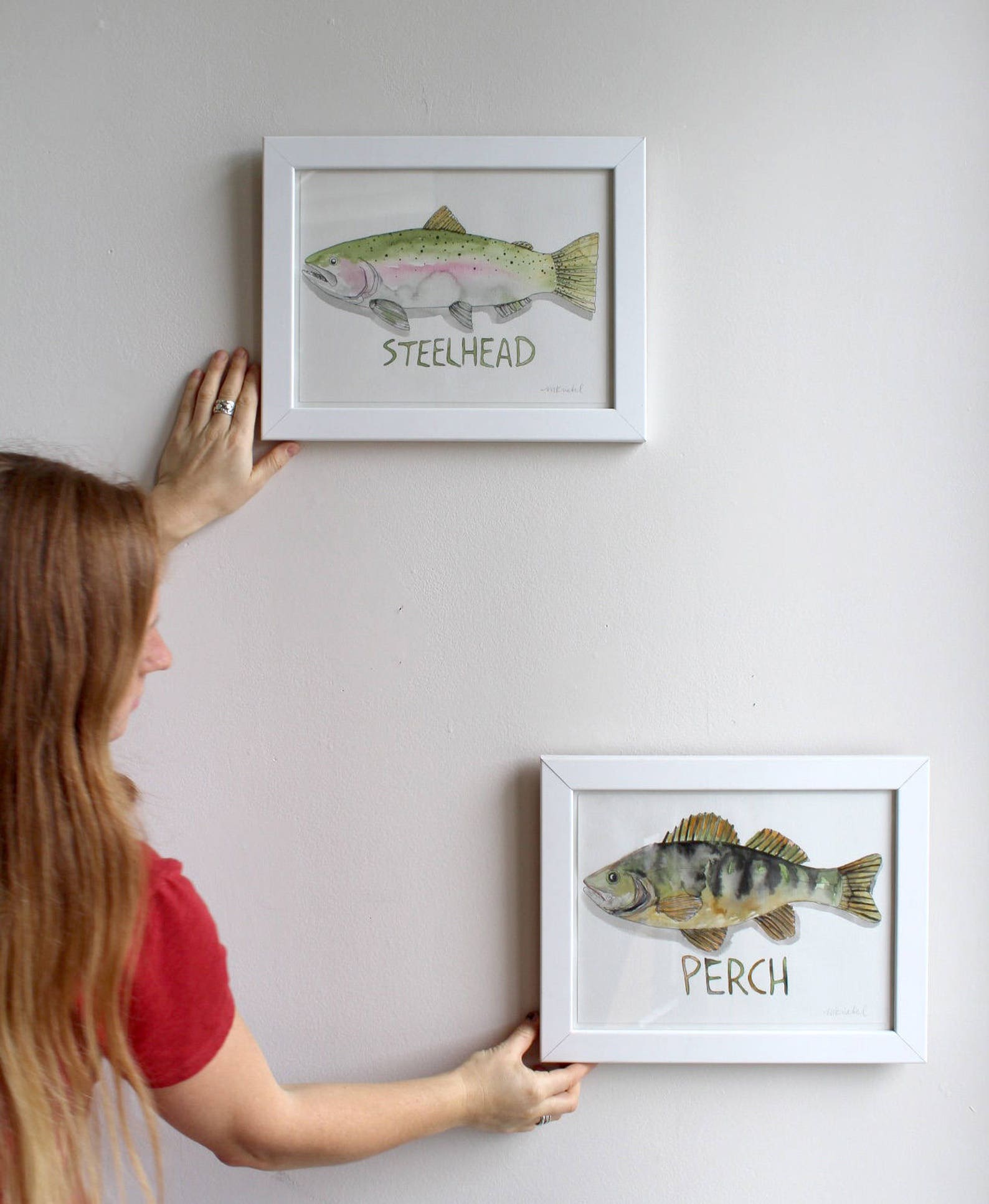 Freshwater Perch Fish Illustrated Watercolor Art Print | Etsy Canada