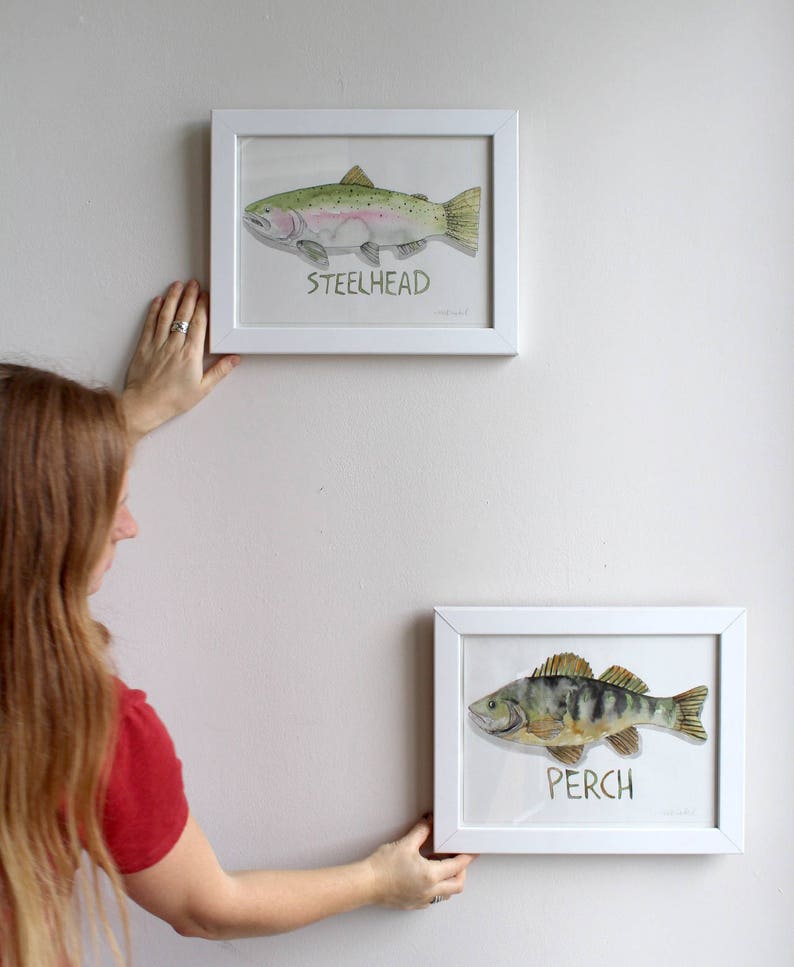 Freshwater Perch Fish Illustrated Watercolor Art Print | Etsy
