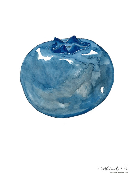 Single Blueberry Drawing