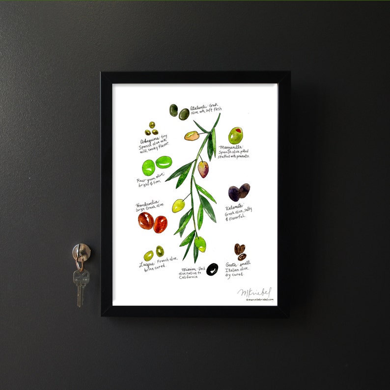 Olives Watercolor Art Print / Kitchen Illustration of the | Etsy