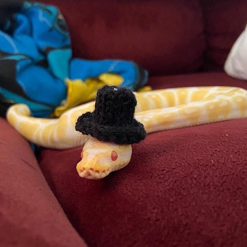 Small Animal Black Top Hat for Snakes Rats Hamsters Gerbils | Etsy