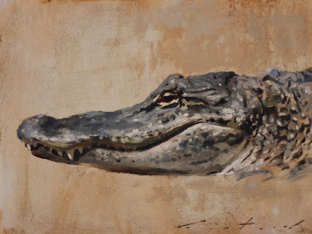Florida Alligator - Oil Painting on 9" X 12" Canvas Board - Wildlife ...