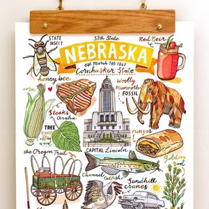 Nebraska State Print. Illustration. Cornhusker State. - Etsy