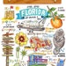 Florida Print State Symbols Illustration State Art Key - Etsy