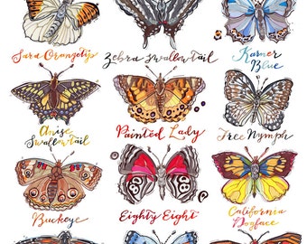 Butterflies of North America Poster Print | Etsy