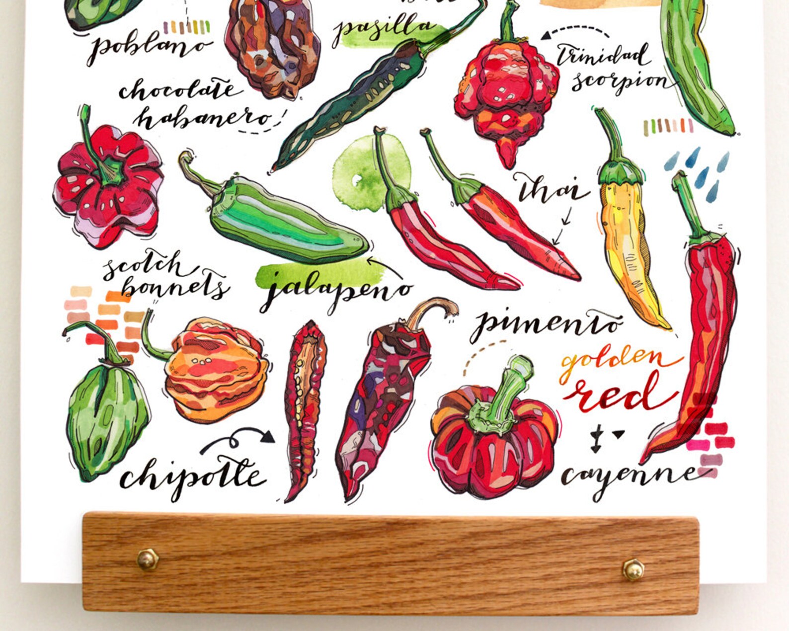 Chile Peppers Print. Chili. Garden. Food Illustration. Kitchen Decor ...