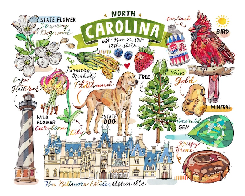 North Carolina Print State Symbols Illustration State Art - Etsy