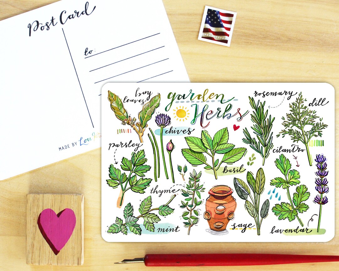 Herbs Postcard. - Etsy