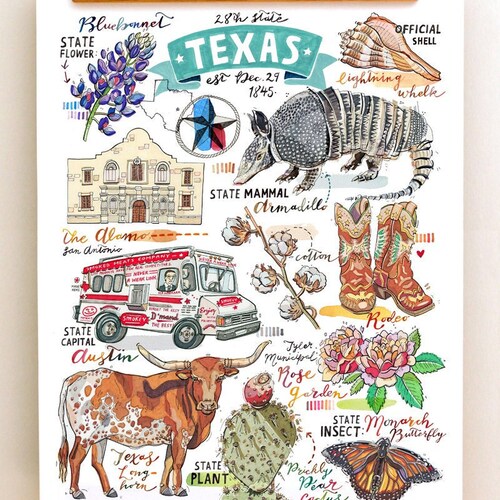 Texas State Symbols Illustration Print - Etsy