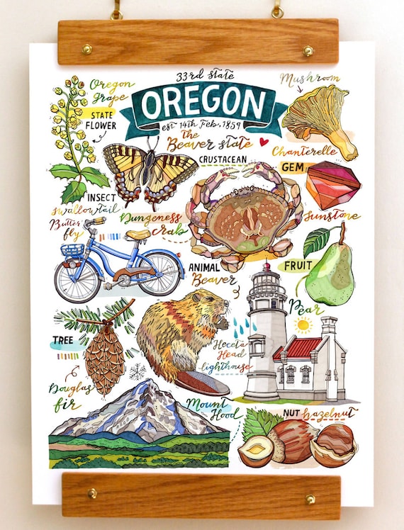 Oregon State Symbols Oregon State Symbol Stock Photos, Images And