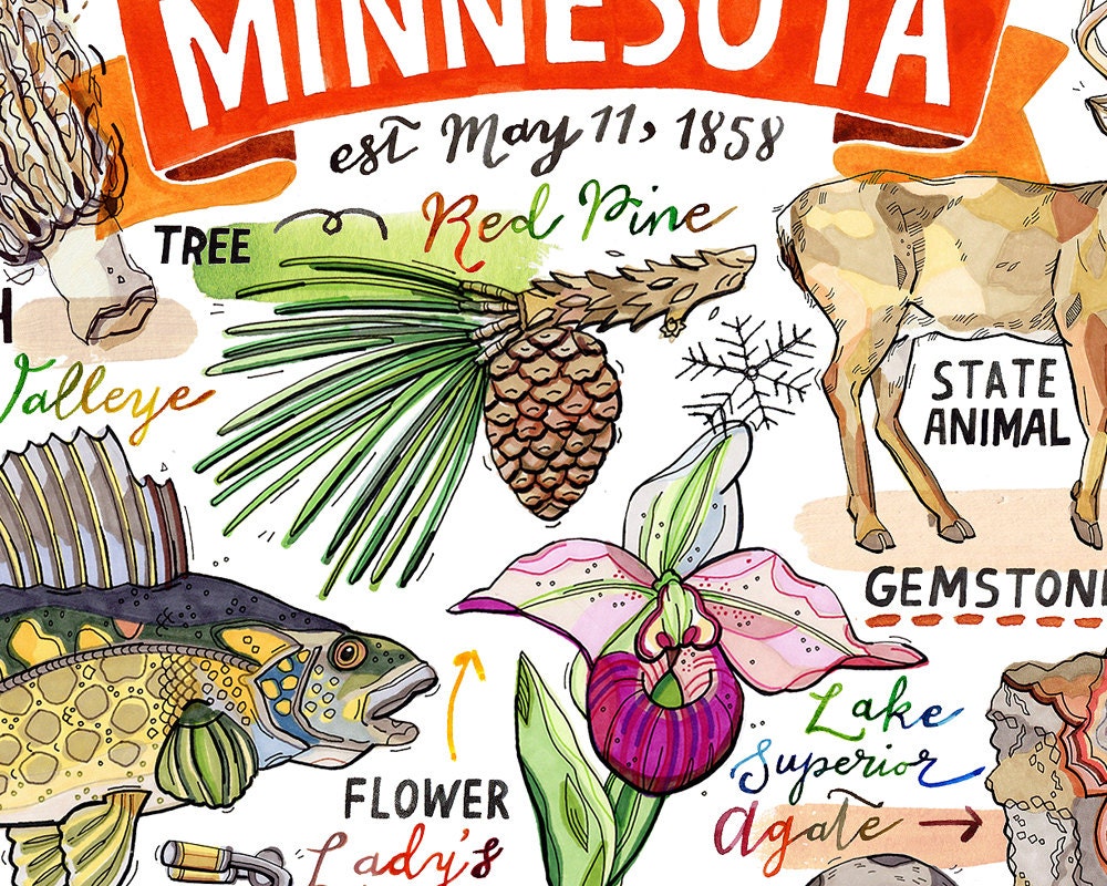 Minnesota Notecard. Single or Pack of 4. - Etsy