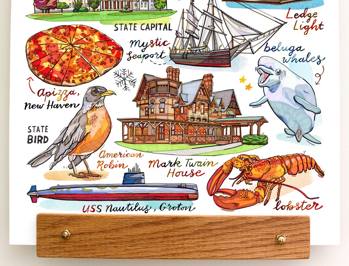 Connecticut State Print. Illustration. the Nutmeg State. - Etsy