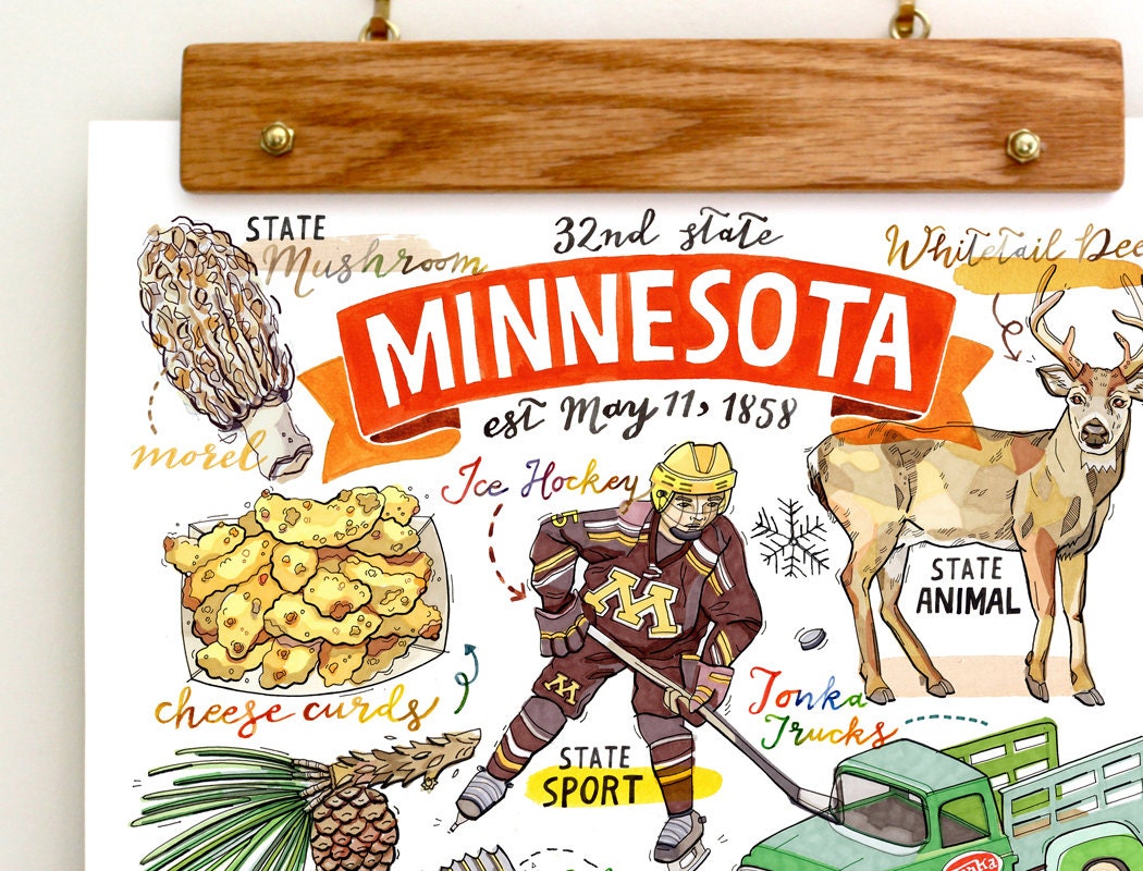 Minnesota State print. Illustration. Map. State symbols. Bird. | Etsy