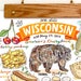 Wisconsin State Print. Illustration. the Badger State. State Symbols ...