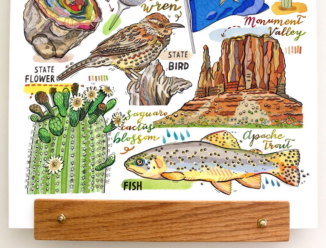 Arizona State Print Illustration State Symbols. - Etsy