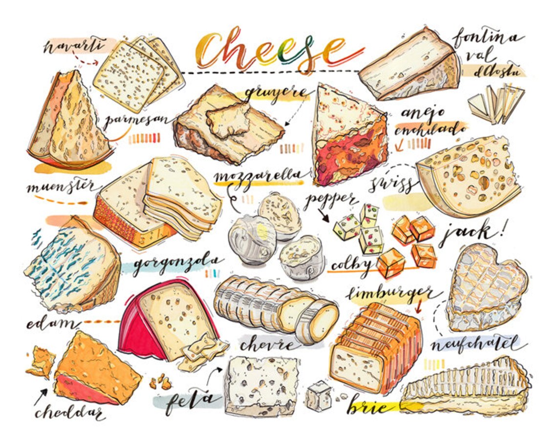 Cheese Print. Illustration. Kitchen Decor. Food Art. Gourmet. Cheese ...