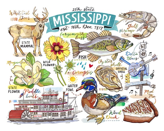 Mississippi Flower And Bird