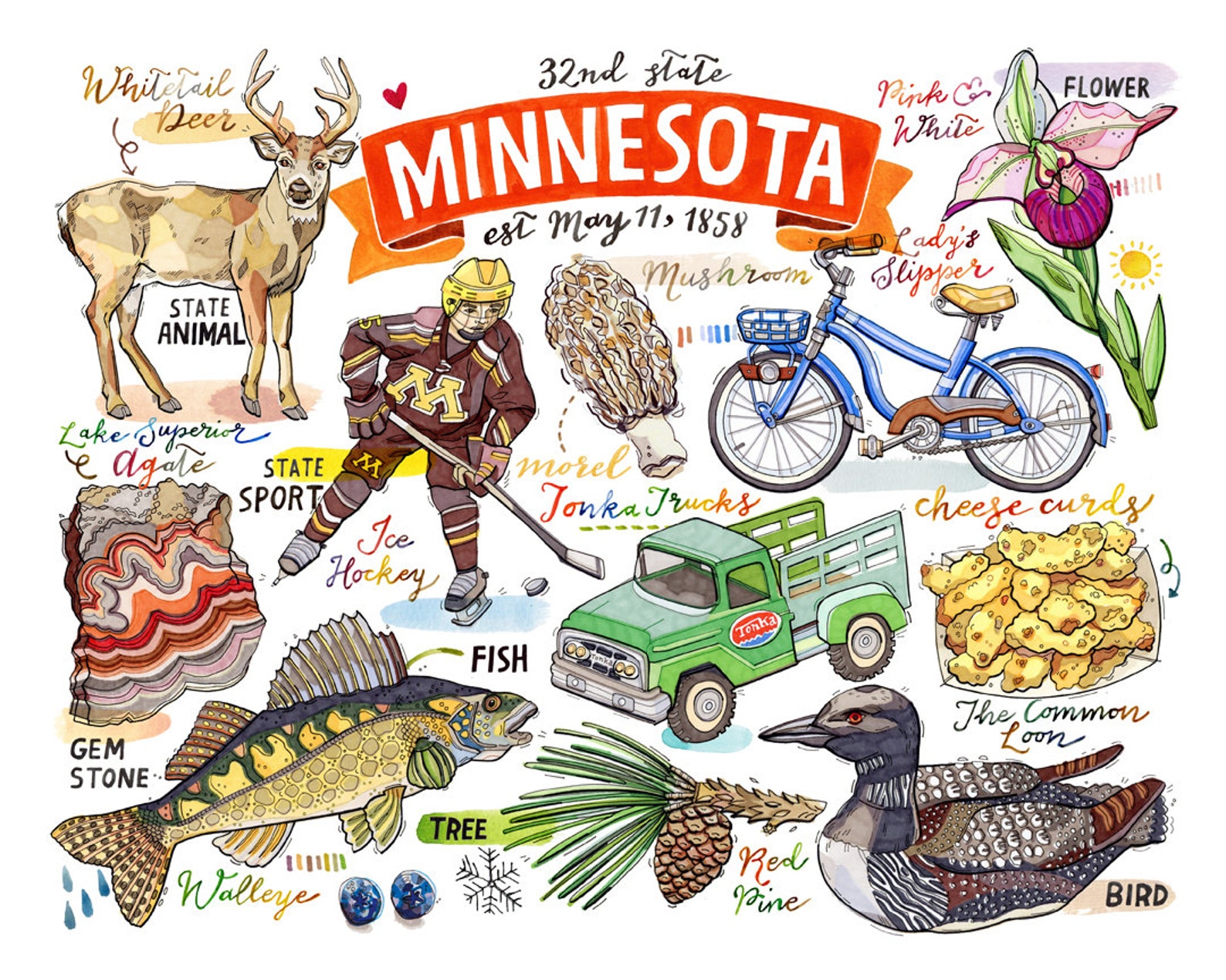 Minnesota State print. Illustration. Map. State symbols. Bird. | Etsy