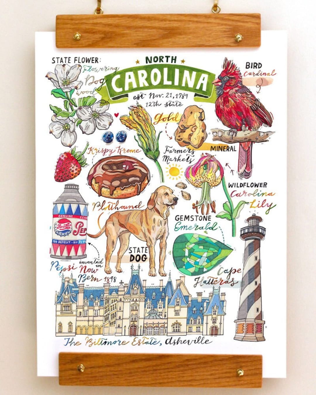 North Carolina Print, State Symbols, Illustration, State Art, Cardinal, Plotthound, Lily ...