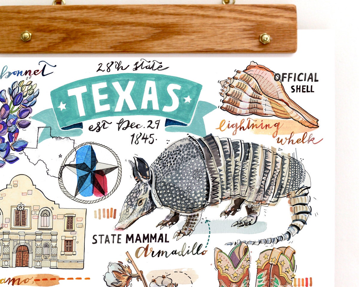 Texas Print, Illustration, State Symbols, the Lone Star State ...