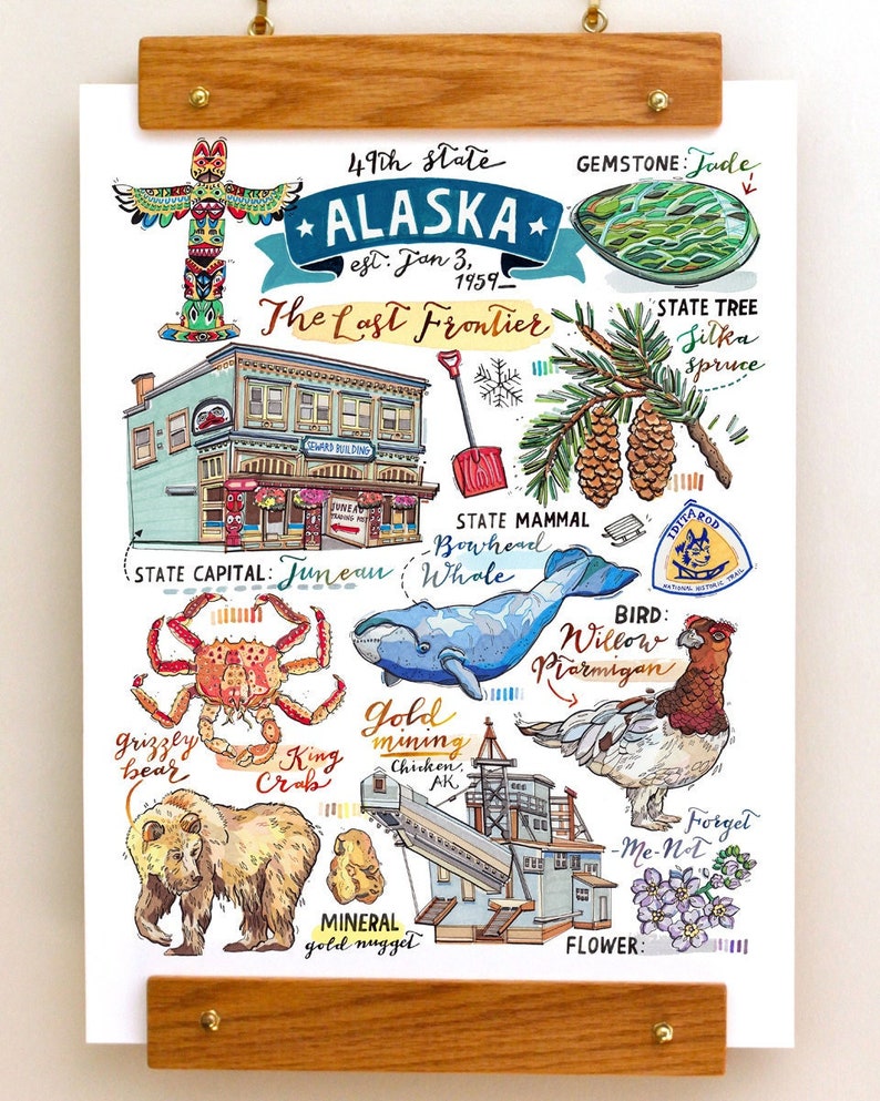Alaska Print. Illustration. Map. State Symbols. Bird. Flower. Juneau ...