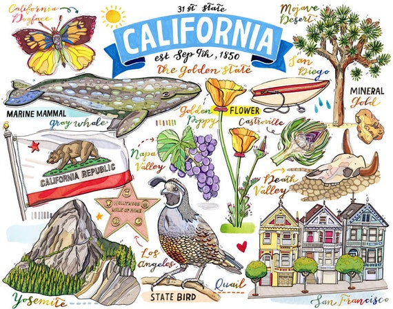 Californias State Symbols