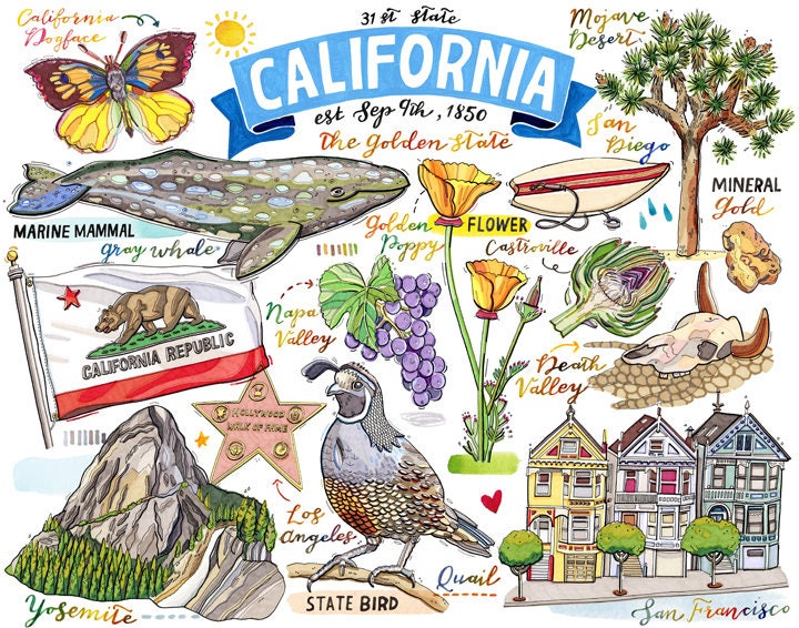 California State Print. Illustration. The Golden State. San | Etsy