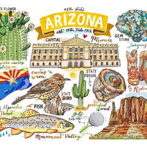 Arizona State Print, Illustration, State Symbols. - Etsy