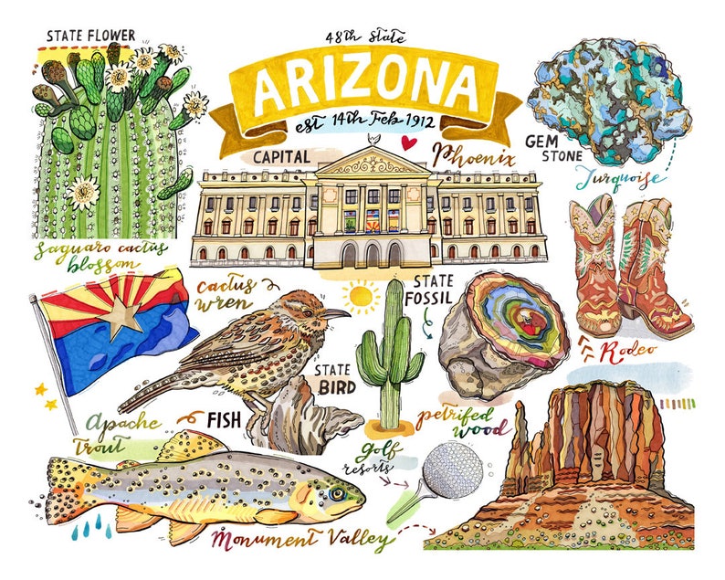 Arizona State Print Illustration State Symbols. | Etsy