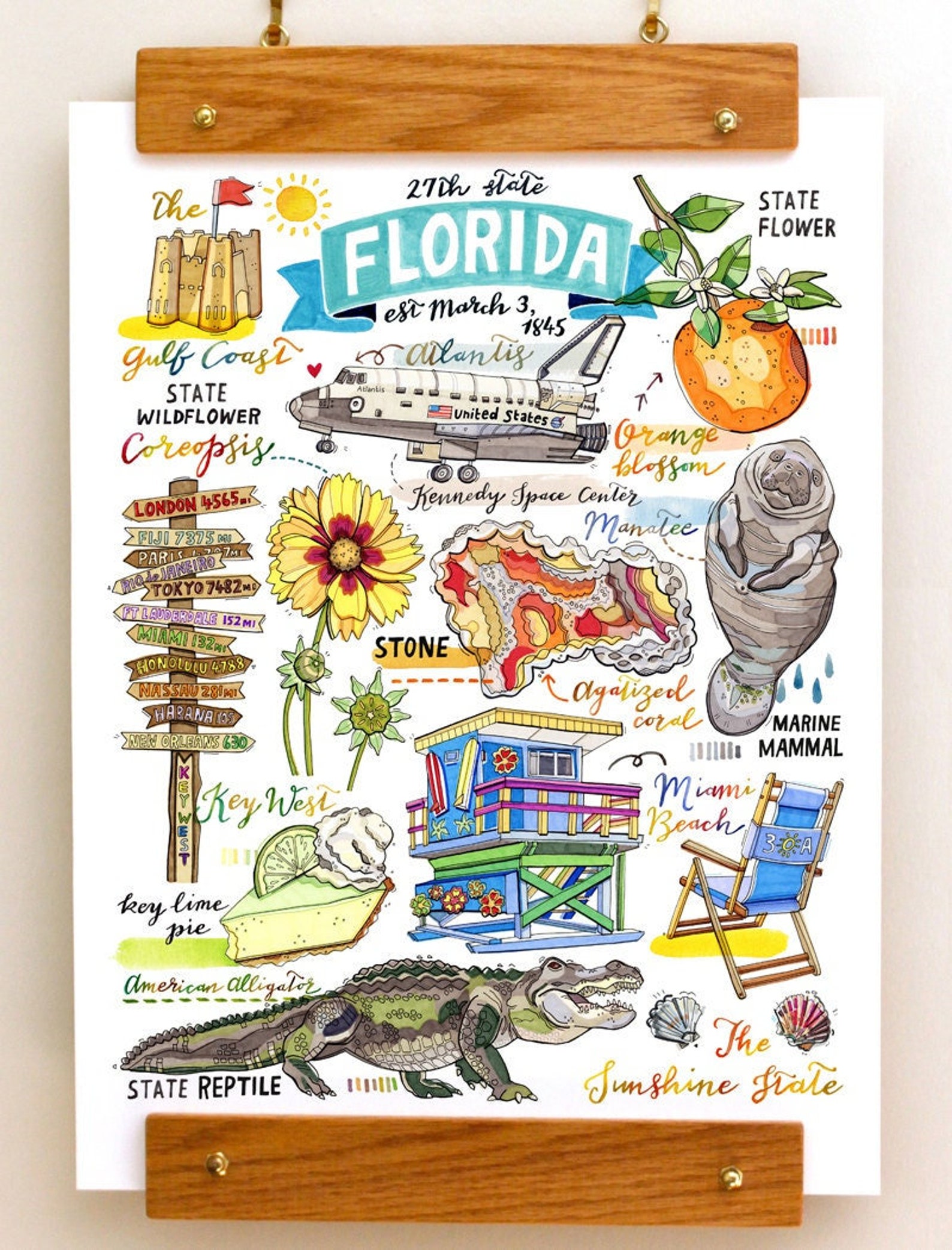 Florida Print, State Symbols, Illustration, State Art, Key West,miami ...
