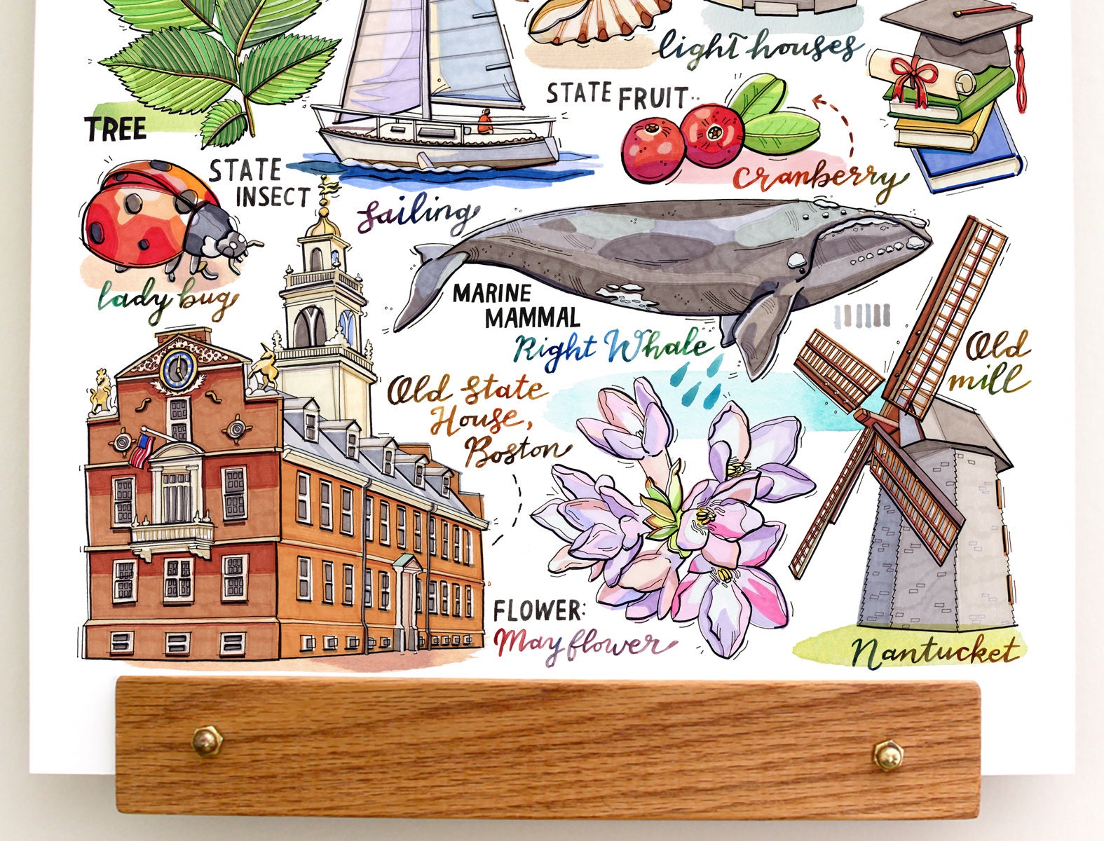 Massachusetts Print, the Bay State. Illustration. - Etsy
