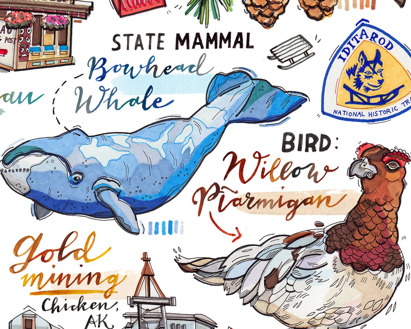 Alaska print. Illustration. Map. State symbols. Bird. Flower. | Etsy