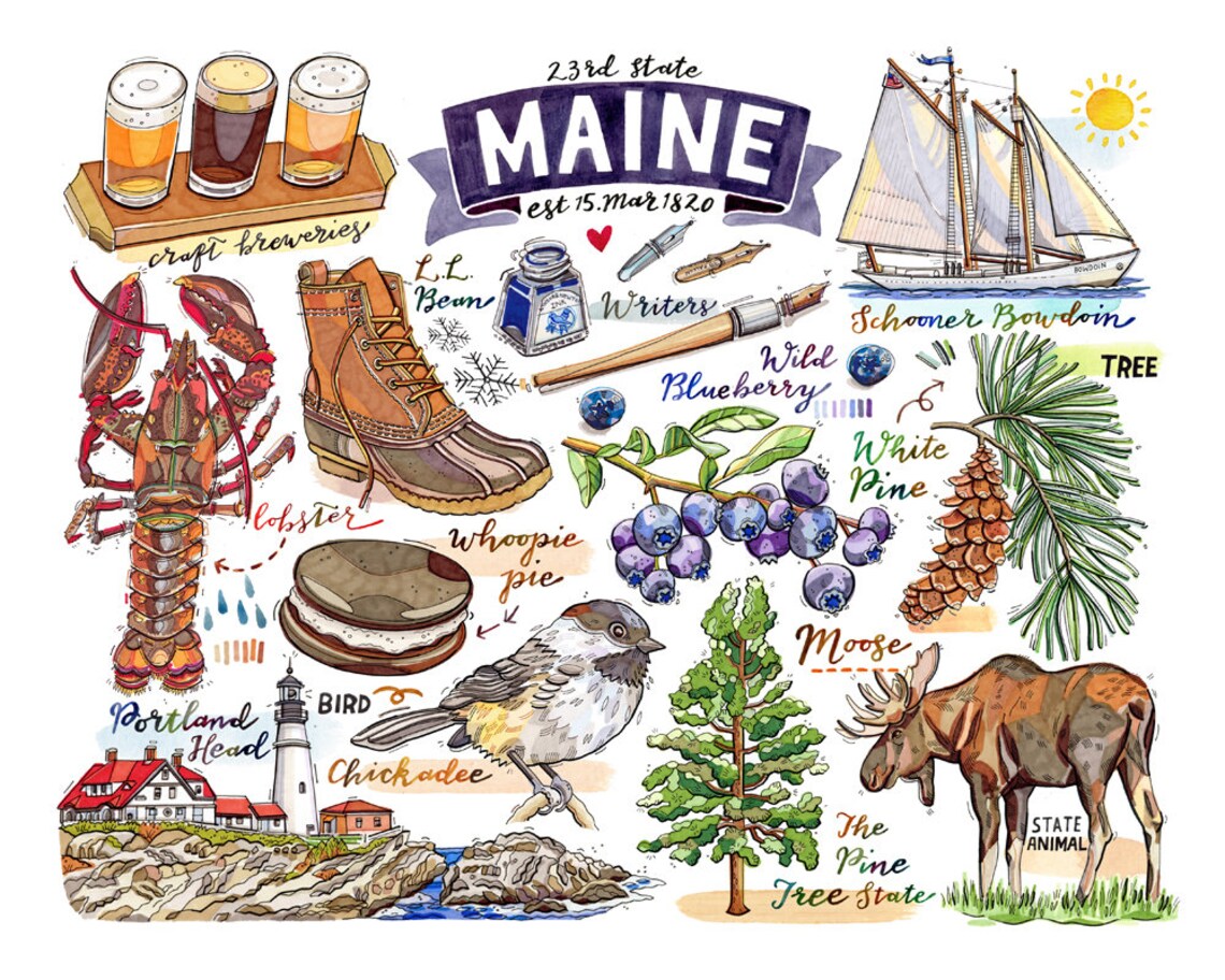 Maine State Print. Illustration. the Pine Tree State. - Etsy