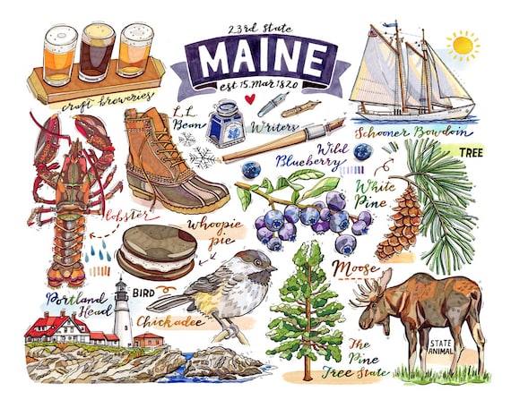 Maines State Tree Name