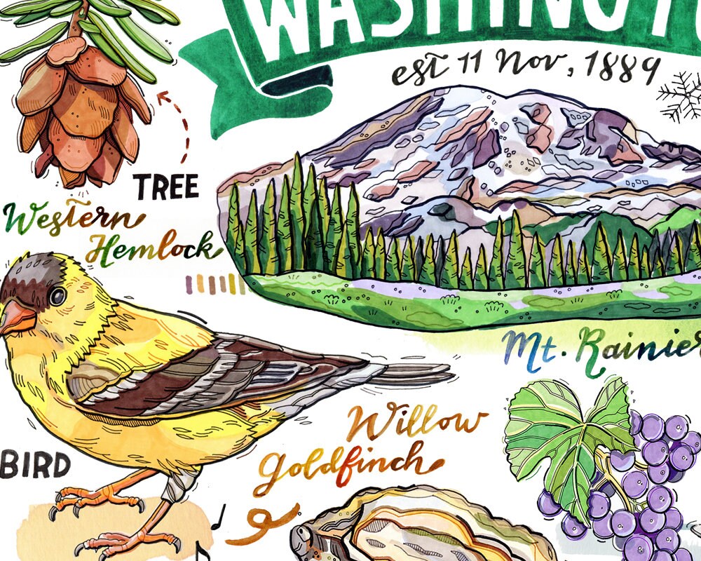 Washington State Print. Illustration. the Evergreen State. | Etsy