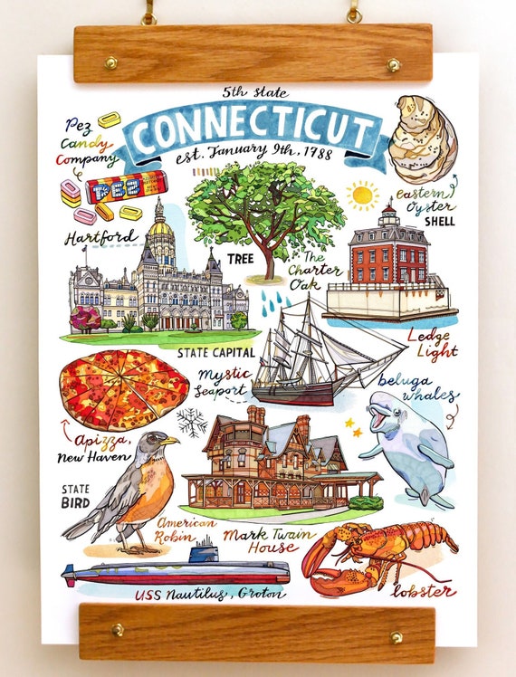 Connecticut State Print. Illustration. the Nutmeg State. - Etsy
