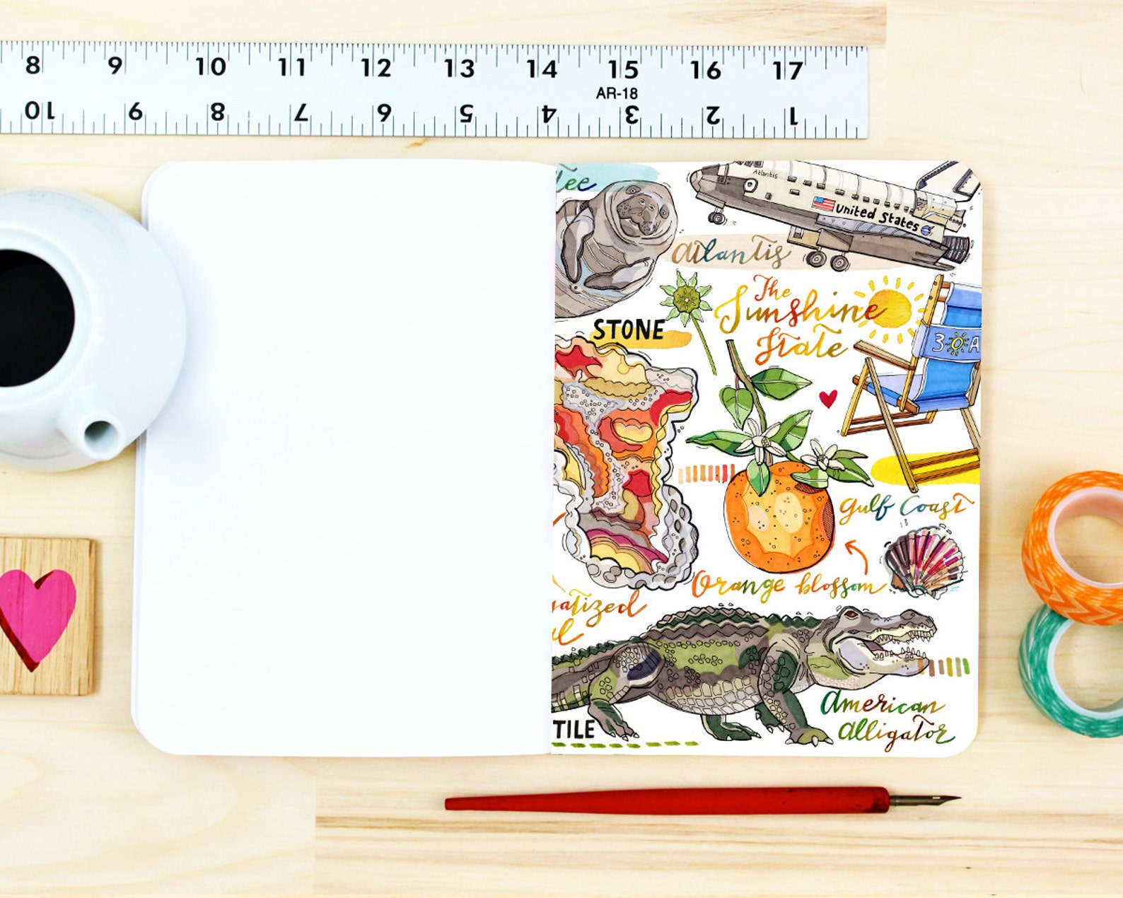 Florida Notebook Blank Journal Illustration State Symbols. | Etsy