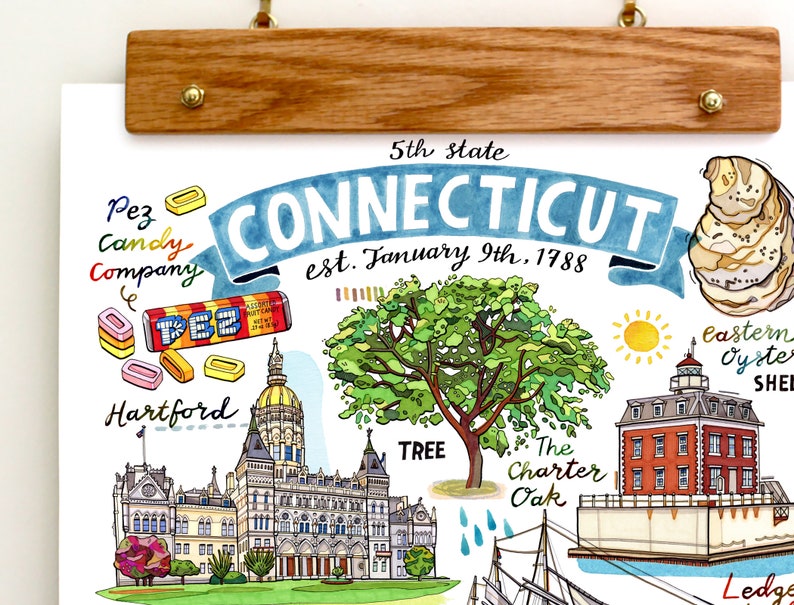 Connecticut State Print. Illustration. the Nutmeg State. - Etsy