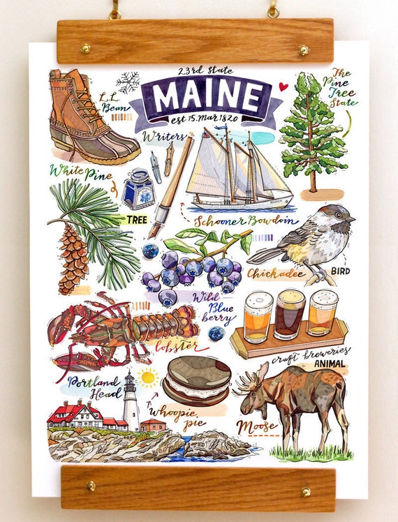 Maines State Tree