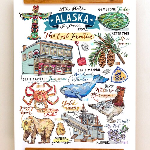 Alaska Print. Illustration. Map. State Symbols. Bird. Flower. - Etsy
